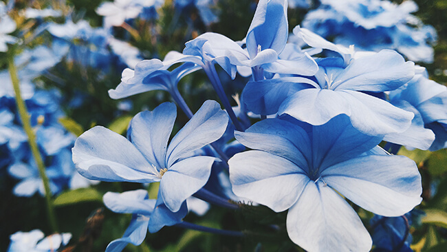 How well do you know Khadija? - OnePath Network